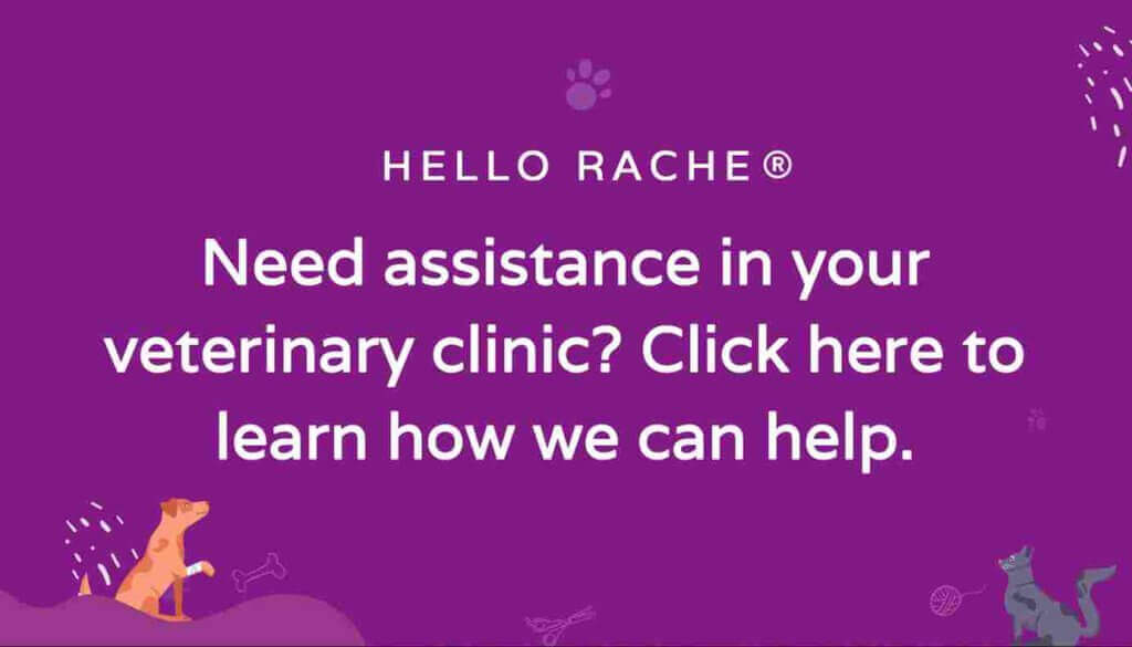 hello rache assistance - Hello Rache