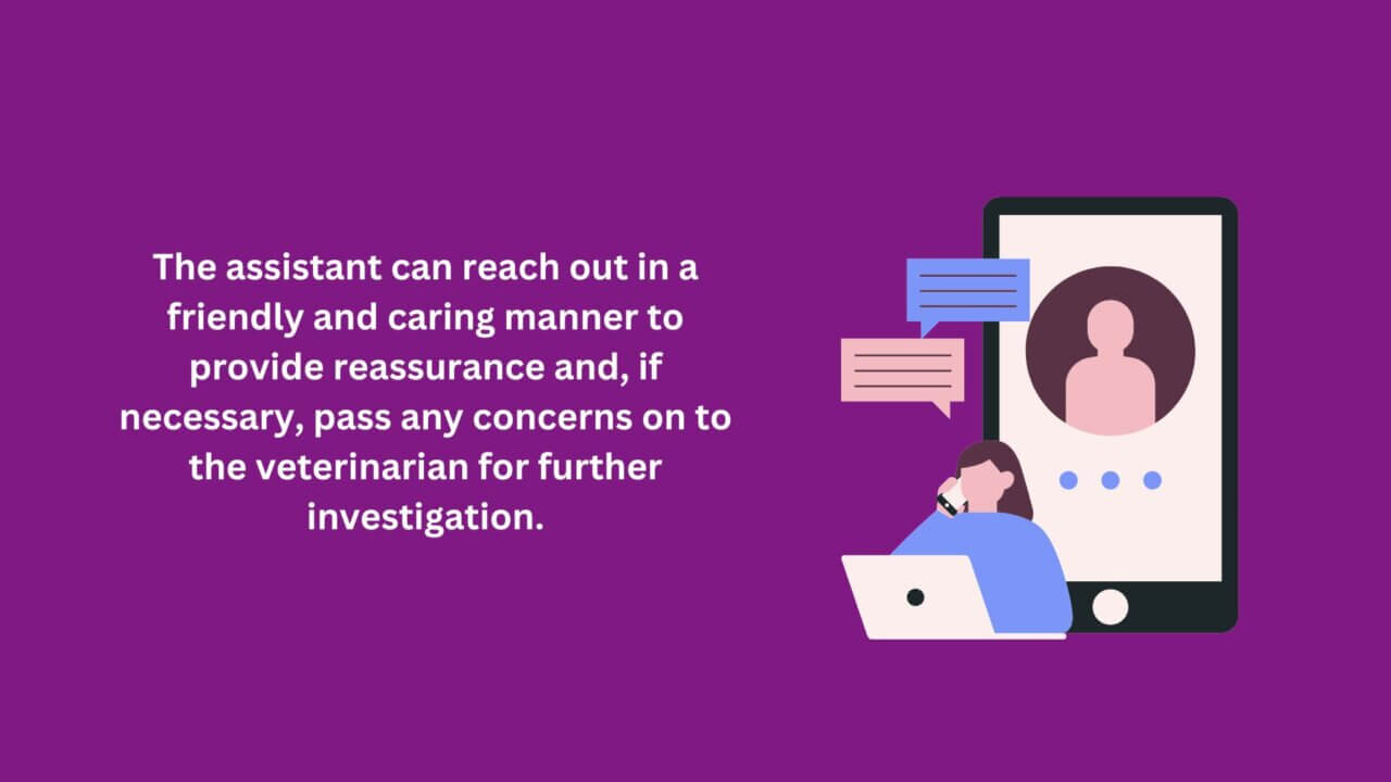 How Virtual Assistants Can Help Veterinarians - Hello Rache