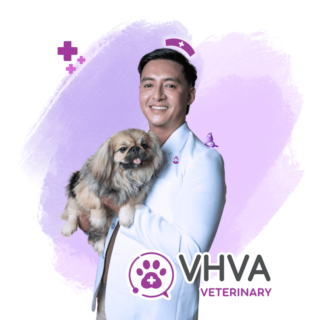 Hello Rache | Healthcare Virtual Assistant Solutions